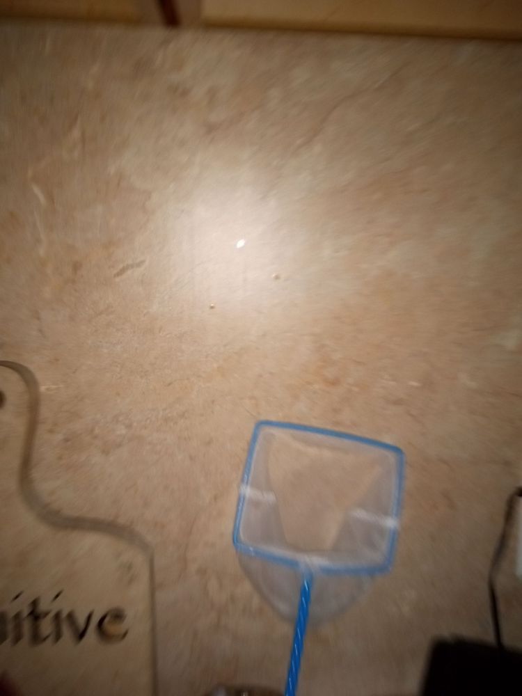 FOOD 4 LESS - Updated November 2025 - 20 Reviews - 1115 W Olive Ave ...