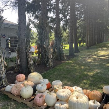 OBSTBAUM ORCHARDS - Updated December 2025 - 95 Photos & 34 Reviews ...