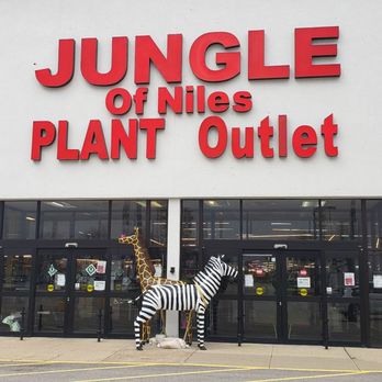 JUNGLE OF NILES OUTLET - 75 Photos & 51 Reviews - 9000 W Golf Rd, Niles ...