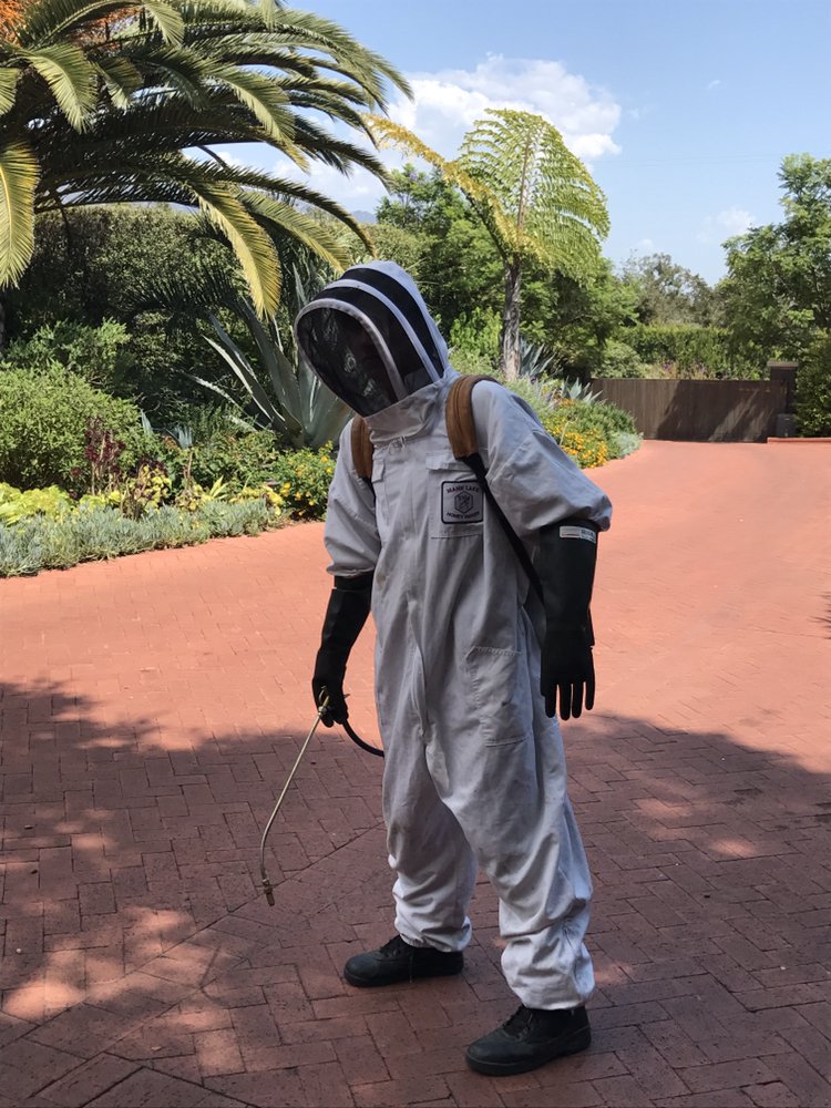 BARRICADE PEST CONTROL - Updated May 2026 - 12 Reviews - Santa Barbara ...