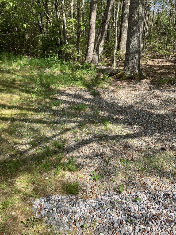 TURF DOCTOR LAWN & PEST SERVICES - Updated October 2025 - 60 Industrial Dr, Augusta, Maine ...