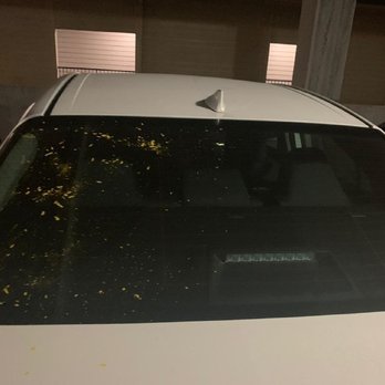 HARWIN AUTO STORAGE - Updated December 2024 - 18 Photos & 25 Reviews ...