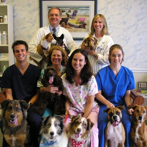 HARMONY ANIMAL HOSPITAL - Updated September 2025 - 31 Photos & 64 ...