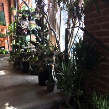 GLASSWING - Updated December 2025 - 103 Photos & 59 Reviews - 1525 ...