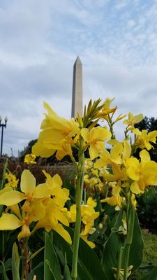 THE FLORAL LIBRARY - Updated September 2024 - 177 Photos - Near The ...