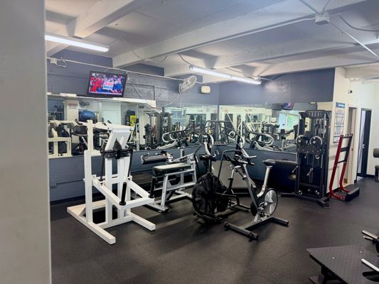 MIAMI STRENGTH AND FITNESS CLUB - Updated February 2025 - 35 Photos ...