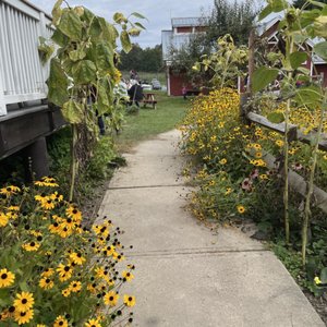 WINNEY’S FARM - 19 Photos & 12 Reviews - 113 Winney Rd, Schuylerville ...