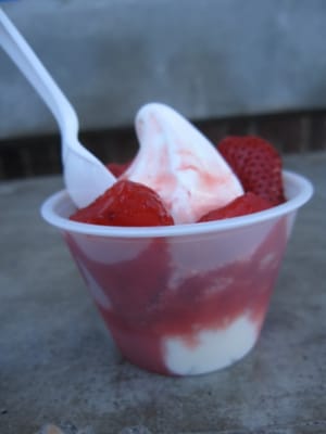 SARGENT SUNDAE - Updated October 2025 - 15 Photos & 21 Reviews - 2053 ...