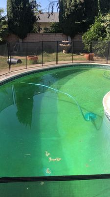 PABLO’S POOL SERVICE - Updated April 2025 - 46 Photos & 11 Reviews ...