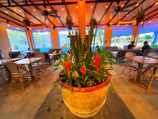 LITTLE PROVENCE CAFE - Updated June 2024 - 445 Photos & 241 Reviews ...