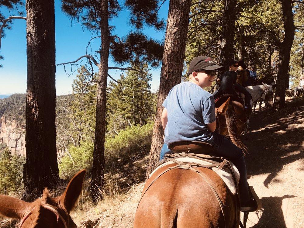 Grand Canyon Trail Rides, Arizona | Roadtrippers