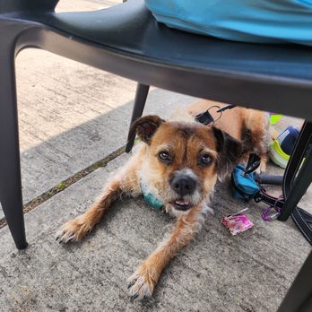 BOATHOUSE CAFE - Updated December 2025 - 154 Photos & 83 Reviews - 350 ...