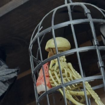 ESCAPE ROOM 101 - Updated October 2025 - 100 Photos & 152 Reviews ...