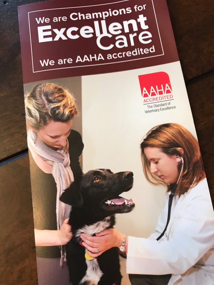 HIGH POINT ANIMAL HOSPITAL - Updated December 2025 - 14 Reviews - 6020 ...