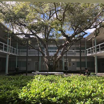 LYNN UNIVERSITY - Updated April 2025 - 43 Photos & 23 Reviews - 3601 N ...