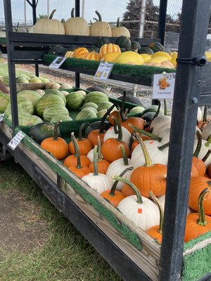 WINDY SPRINGS FARM - Updated September 2024 - 28 Photos - 1970 John ...