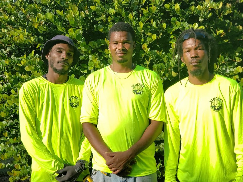 STUCKEY LAWN AND MAINTENANCE - 125 Photos - Miami, Florida ...