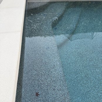 ADAMS POOL SOLUTIONS - Updated January 2026 - 222 Photos & 187 Reviews - 3675 Old Santa Rita Rd ...