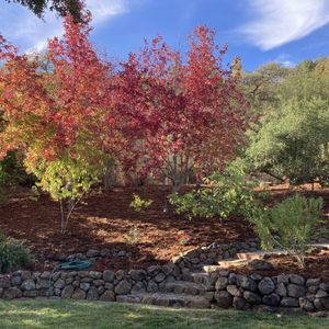 ARTIFICIAL GRASS PROS - 57 Photos & 49 Reviews - Landscaping - 2411 Old ...