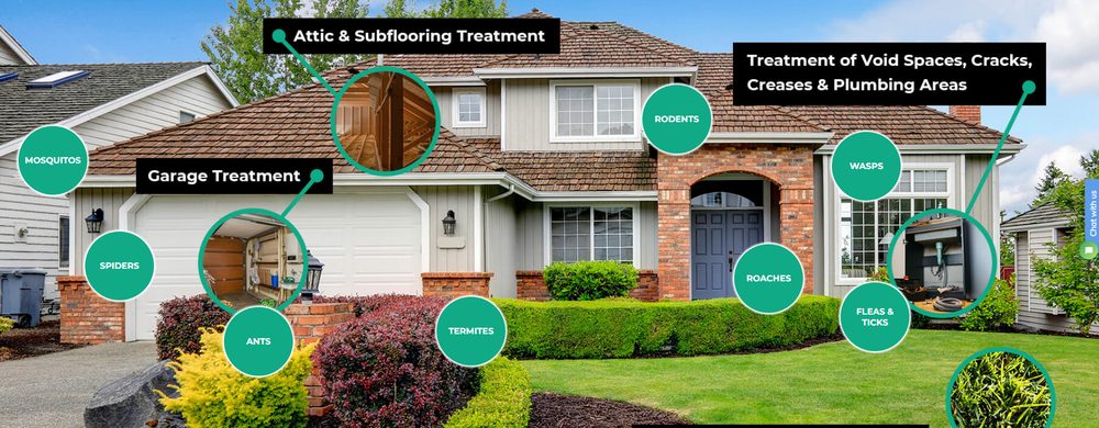 BIO-TECH PEST CONTROL - Updated December 2025 - 24 Photos - 2910 N ...