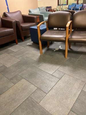 HONORHEALTH SCOTTSDALE SHEA MEDICAL CENTER - 93 Photos & 342 Reviews ...