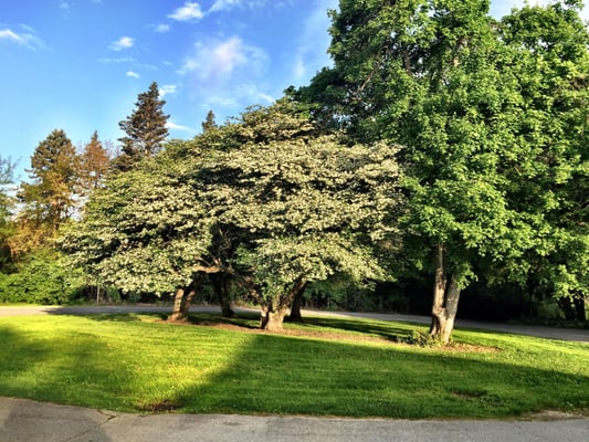 ELLA SHARP PARK - Updated January 2025 - S Oakwood Dr, Jackson ...