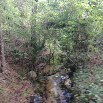 BIVENS ARM NATURE - Updated December 2025 - 44 Photos - 3650 S Main St ...