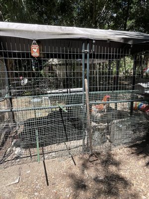 MRS MANGO & COMPANY - Updated November 2025 - 56 Photos & 28 Reviews ...