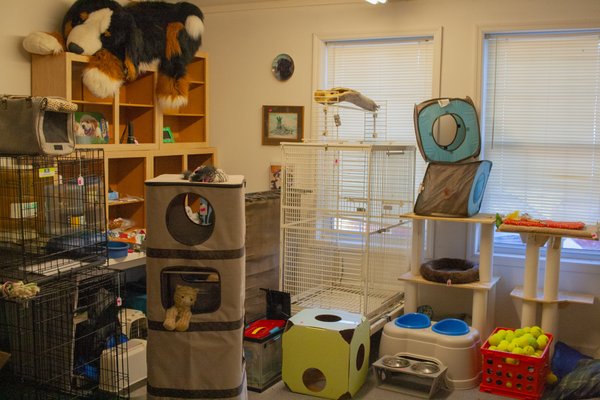 PAWS4EVER - Updated July 2025 - 305-B Revere Rd, Hillsborough, North ...