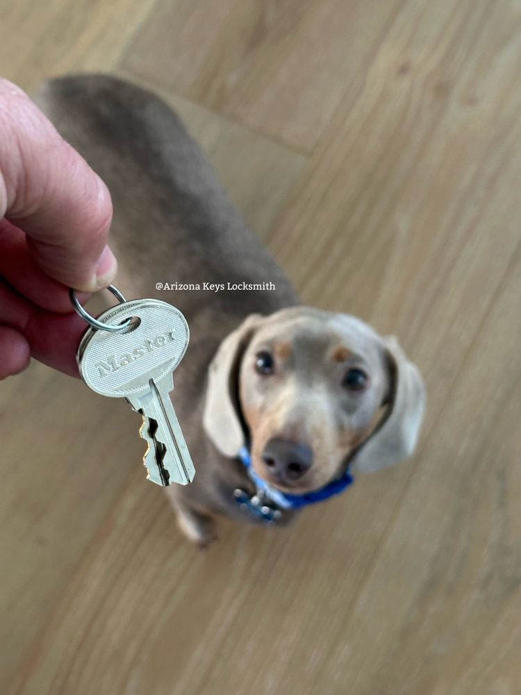 ARIZONA KEYS LOCKSMITH - Updated March 2025 - 115 Photos & 378 Reviews ...