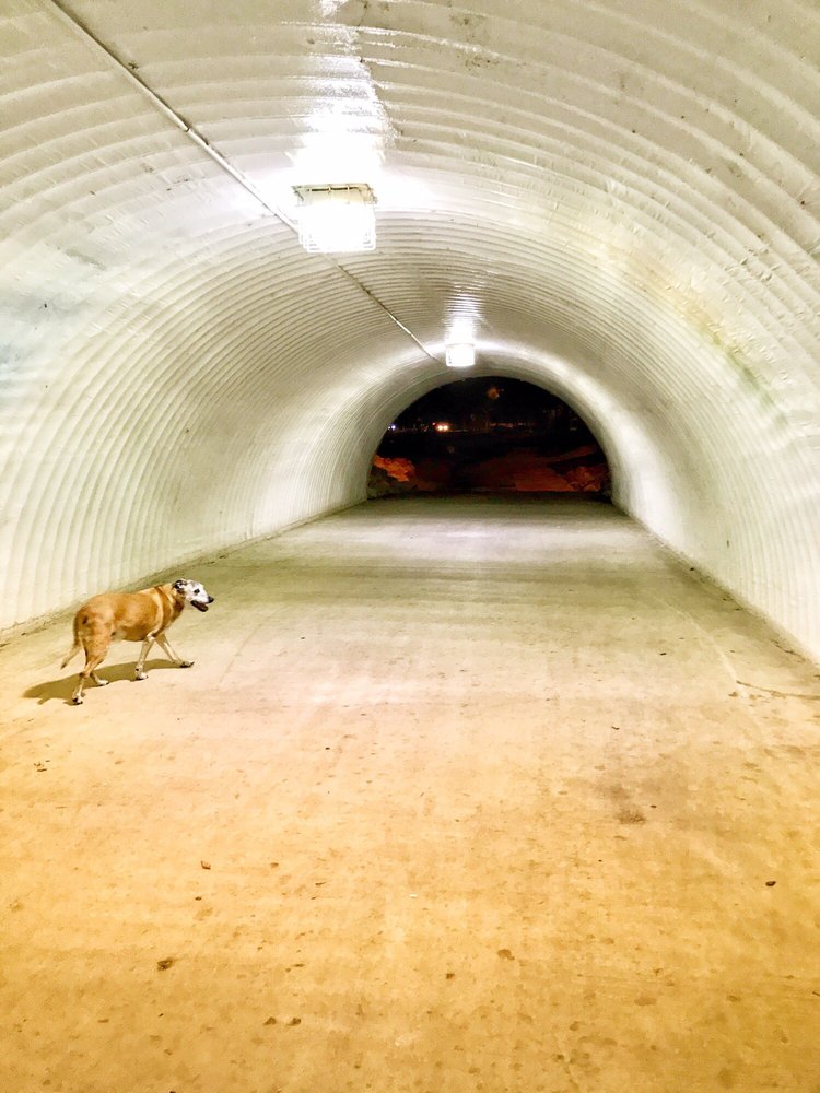 PECCOLE RANCH COMMUNITY ASSOCIATION - 19 Photos - Homeowner Association ...