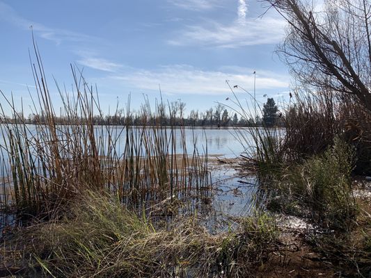 MATHER FIELD LAKE REGIONAL PARK - Updated October 2025 - 346 Photos ...