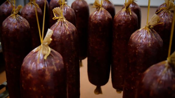 PRIMAL EATS - Updated December 2025 - 71 Photos & 50 Reviews - 14109 ...