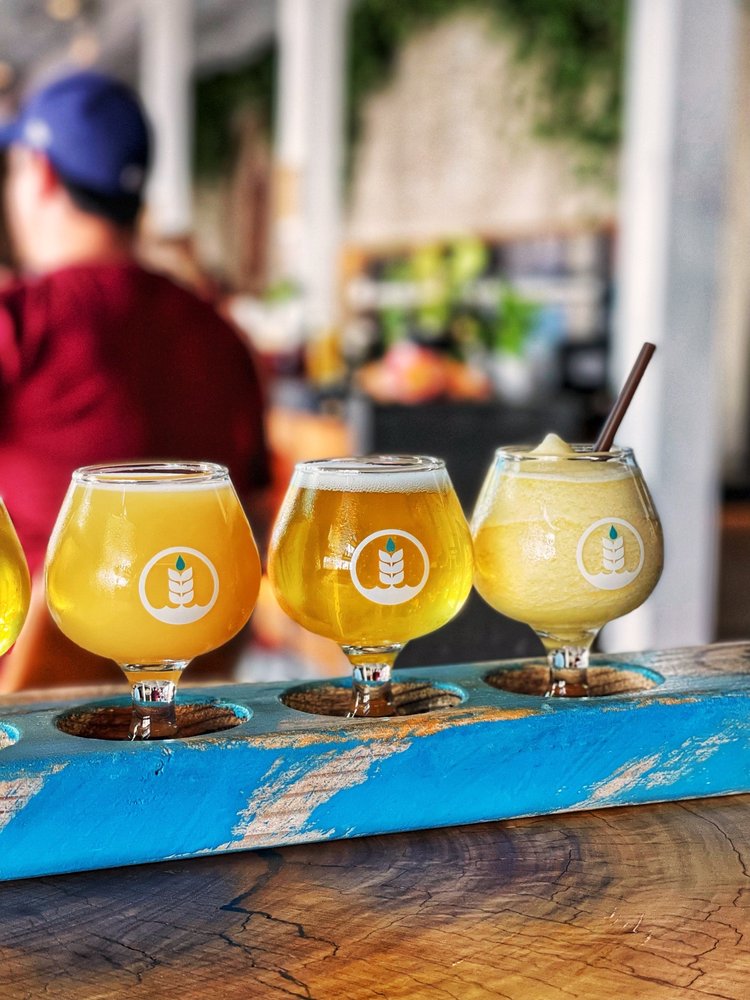 PURE PROJECT - NORTH PARK | 302 Photos & 138 Reviews | 2867 El Cajon ...