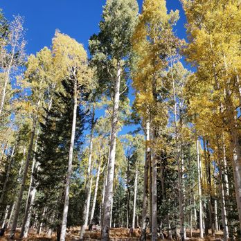 ASPEN NATURE LOOP - Updated December 2025 - 55 Photos & 18 Reviews ...