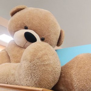 I DREAM OF JEANNIE LN - Updated January 2026 - 10 Photos - Cocoa Beach ...