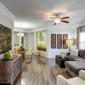 REX, THE BEACH BLVD DINOSAUR - Updated May 2024 - 13 Photos & 32 ...