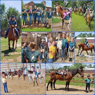 SUN FIRE STABLES - Updated December 2025 - 14 Photos - 33822 High Dr ...