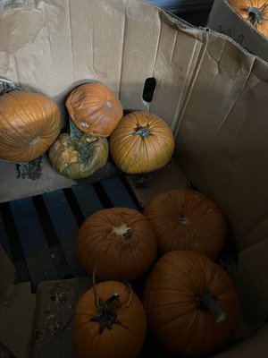 MILLER FARMS - Updated October 2025 - 97 Photos & 83 Reviews - 9040 Hwy ...