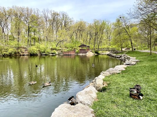 WATSON TRAIL PARK - Updated April 2025 - 65 Photos & 10 Reviews - 12450 ...