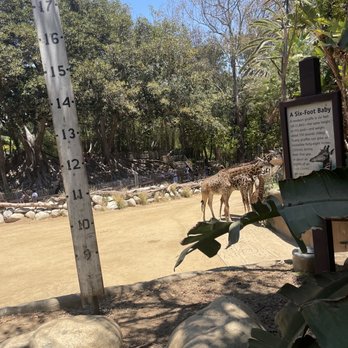 LOS ANGELES ZOO & BOTANICAL GARDENS - 6778 Photos & 1900 Reviews - 5333 Zoo Dr, Los Angeles ...