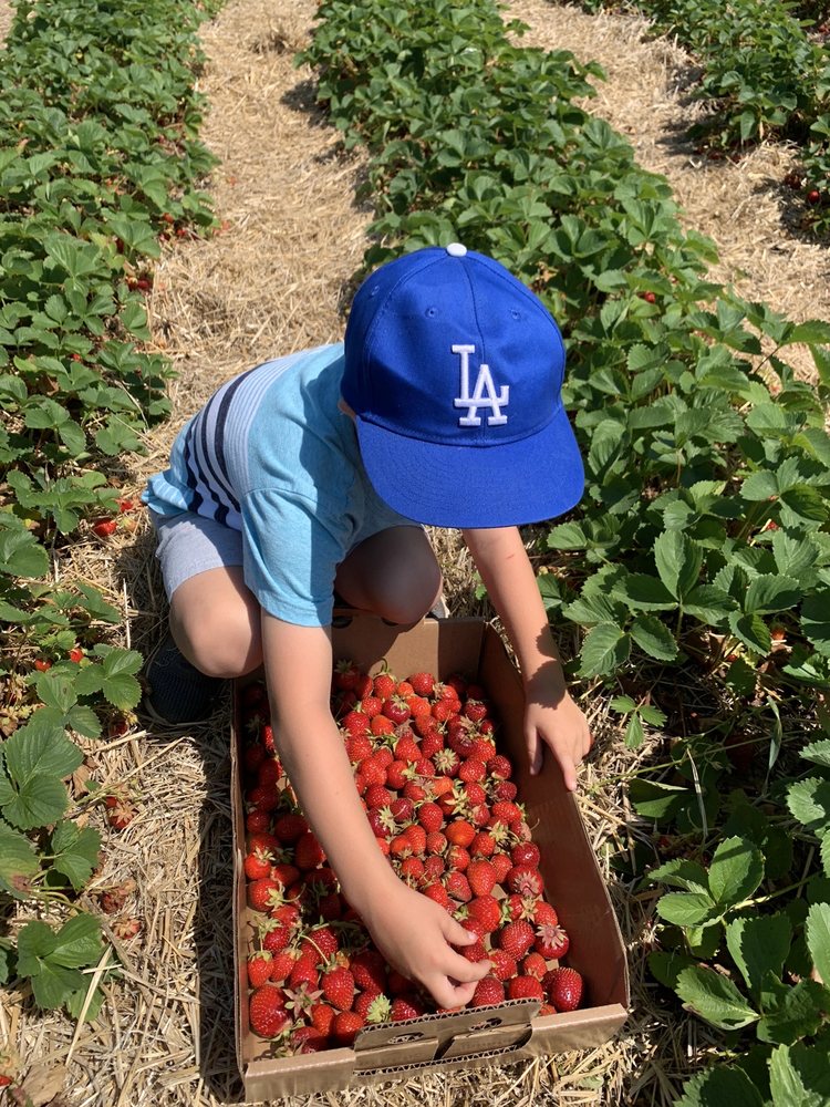 BARTHEL FRUIT FARM - Updated June 2024 - 36 Photos & 41 Reviews - 12246 ...