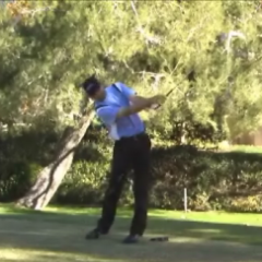 MICHAEL J STOCKING - Updated December 2025 - 1275 Quail Gardens Dr ...