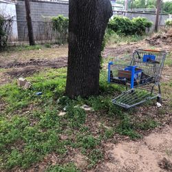 ASSUMPTION CEMETERY - CHAPEL & MAUSOLEUM - 54 Photos & 18 Reviews ...