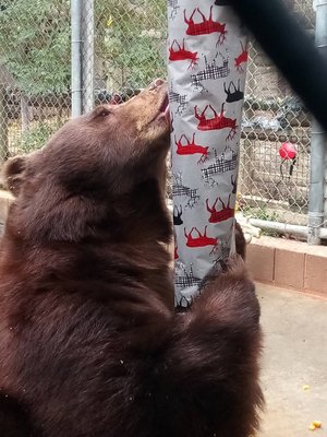 APPLEGATE PARK ZOO - 111 Photos & 44 Reviews - Zoos - 1045 W 25th St ...