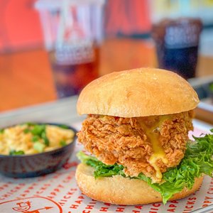 HAPPY CHICKS - 10611 Research Blvd, Austin, Texas - Chicken Wings ...