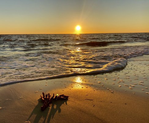 ALLIGATOR POINT - 72 Photos & 10 Reviews - Beaches - 1389 Alligator Dr ...