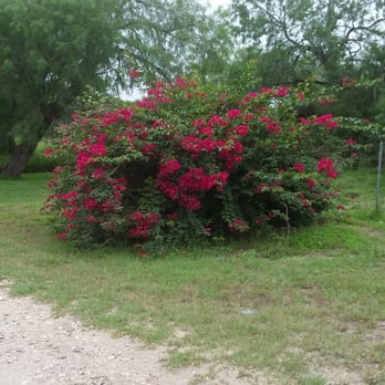 MUSTANG HOLLOW CAMPGROUND - Updated October 2025 - 65 Photos & 11 ...