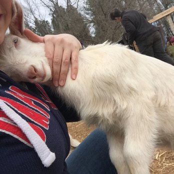 CAROMONT FARM - Updated January 2026 - 86 Photos - 9261 Old Green Mountain Rd, Esmont, Virginia ...