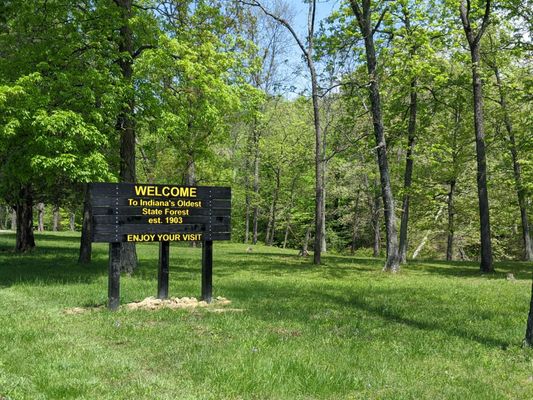 CLARK STATE FOREST - Updated May 2025 - 21 Photos - Henryville, Indiana ...